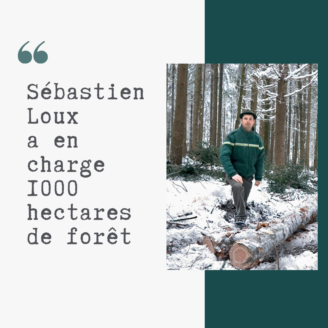 Les beautés de la nature en hiver : une journée avec un garde forestier