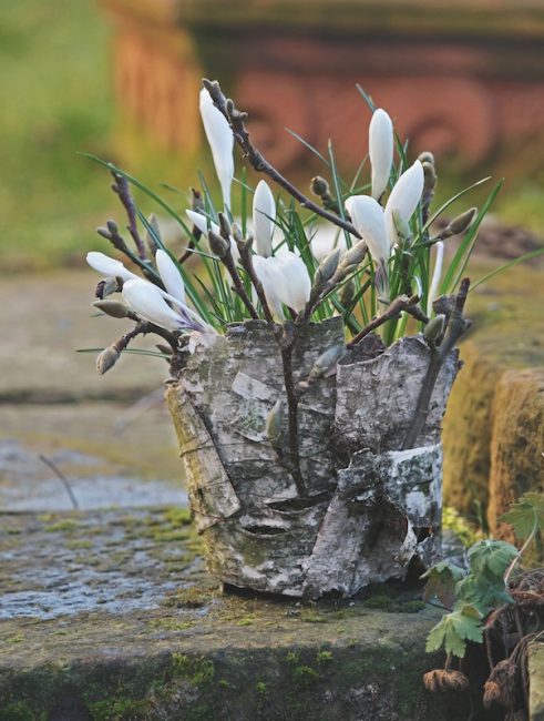 Perce neige : nos idées de décoration - Le Blog d'Ici