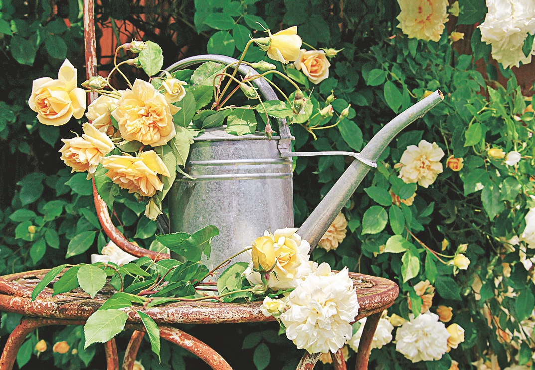 DIY recup : nos idées de décoration pour votre jardin