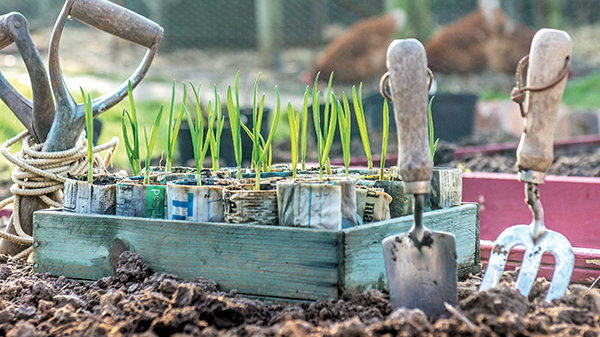Potager en hiver : semis, taille, compost... Que faire au potager en ...