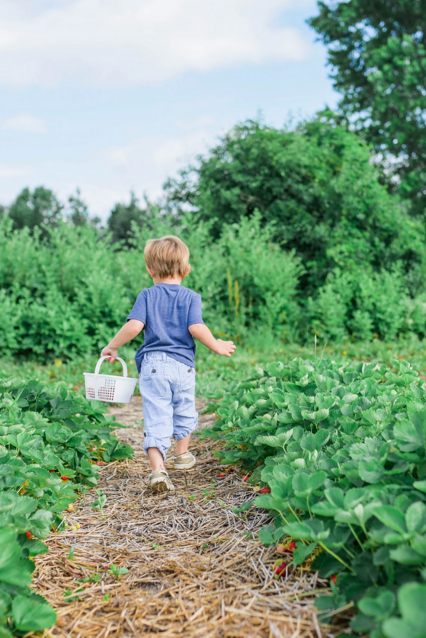 Tuto jardinage : un coin de potager pour vos enfants